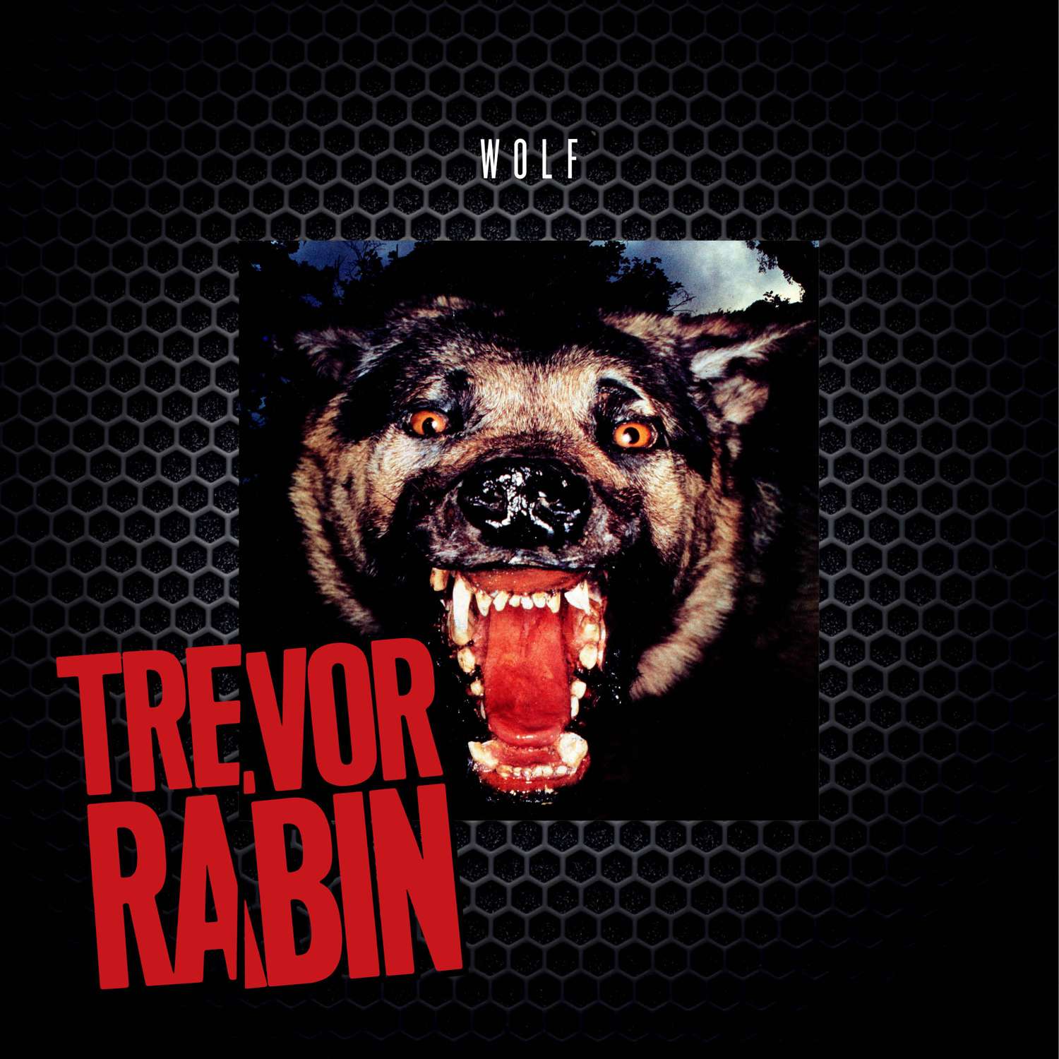 Trevor Rabin wolf | Glass Onyon PR